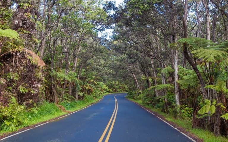 Crater Rim Drive – VisitToUSA