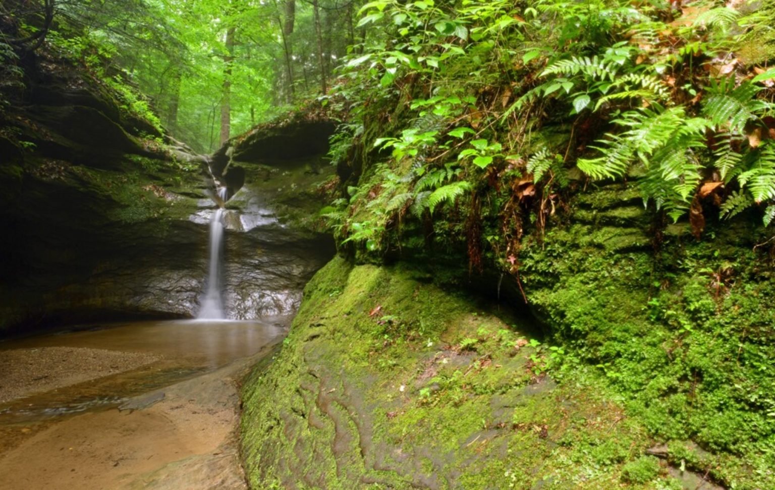 Turkey Run State Park – VisitToUSA